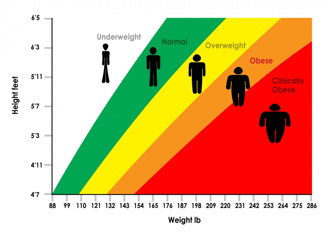 The Link Between BMI Longevity 40fit The Link Between BMI Longevity 40fit